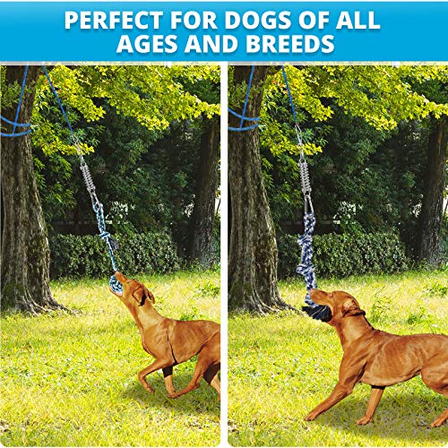 Spring Pole Dog Rope Toys: Dog Rope Pull & Tug of War Toy with a Big Spring Pole Kit & 2 Strong Dog Rope Toys & 16ft Rope - Muscle Builder Interactive Dog Toy for Pitbull Medium to Large Dog