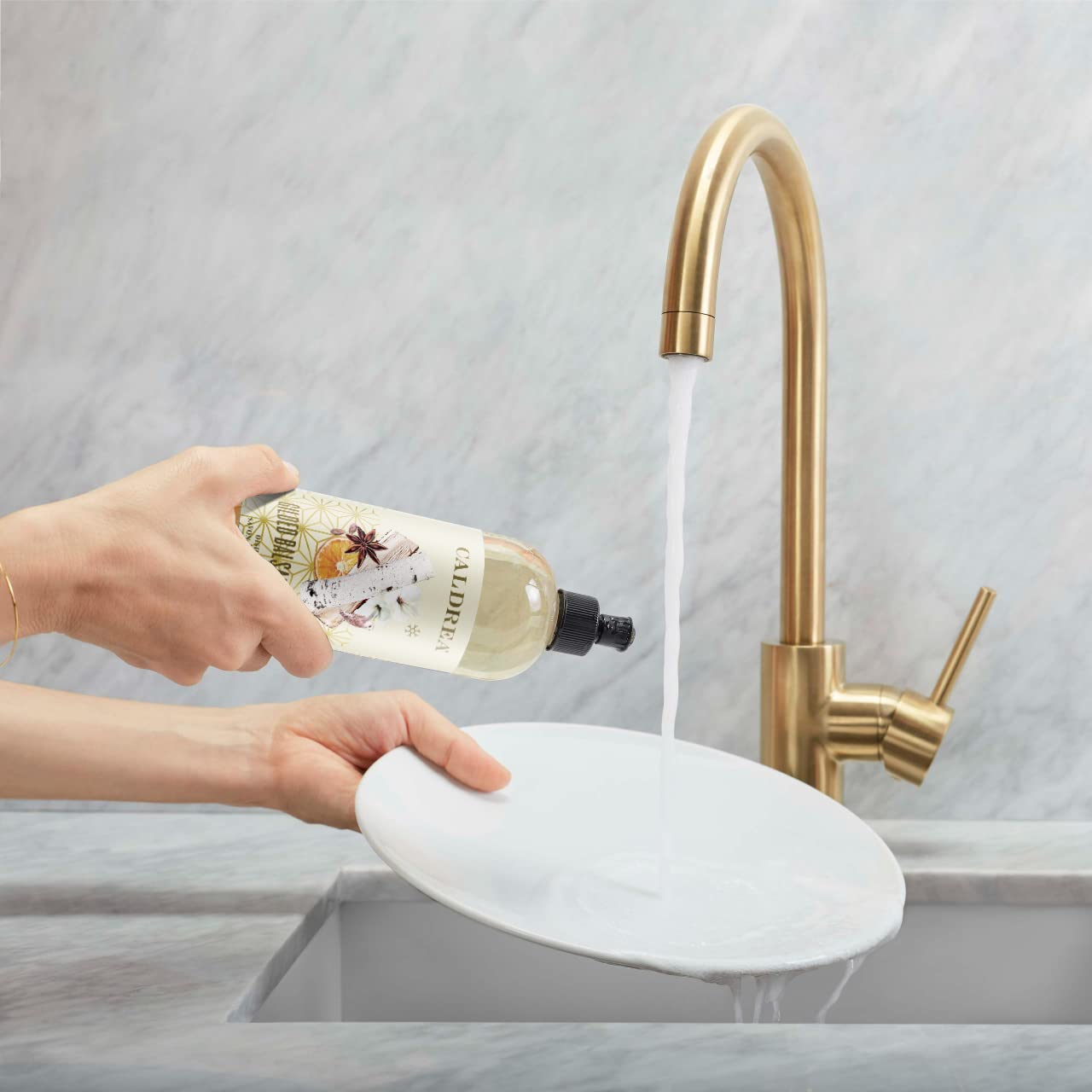 Caldrea Dish Soap, Biodegradable Dishwashing Liquid made with Soap Bark and Aloe Vera, Gilded Balsam Birch Scent, 16 oz