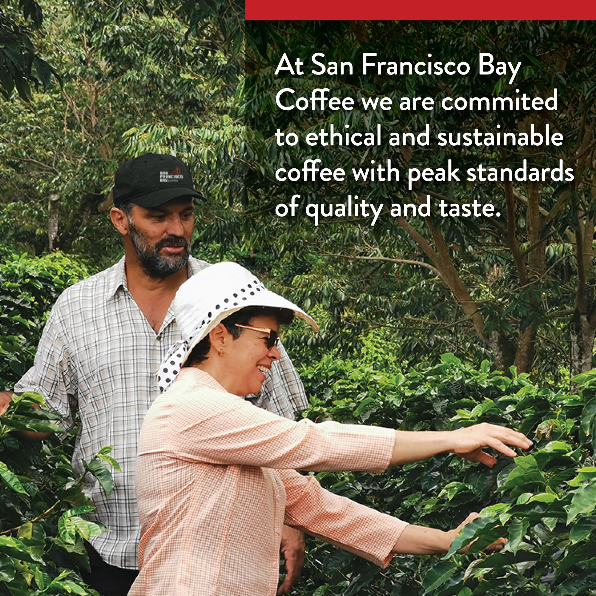 San Francisco Bay Compostable Coffee Pods - French Vanilla (80 Ct) K Cup Compatible including Keurig 2.0, Flavored, Medium Roast