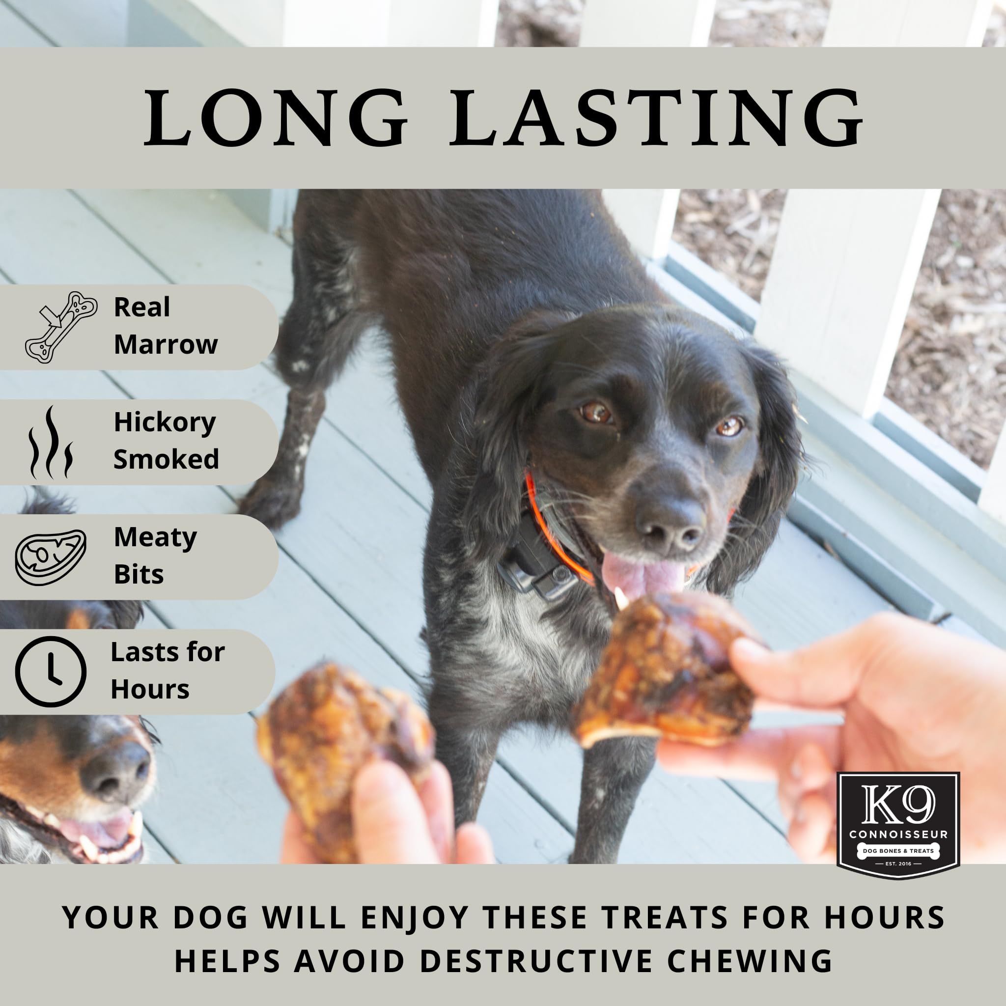 K9 Connoisseur Dog Bones Made in USA for Small and Medium Breed Dogs Natural Long Lasting Meaty Beef Knee Cap Bone Treats Best for Dogs Upto 50 Pounds 1 Pack 3 Count