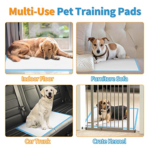 Bolux Dog and Puppy Training Pads, 13βΓ18β Disposable Dog Pee Pads, 100/Counts Ultra Absorbent & Leak-Proof Pet Underpads, Dry Quickly Pee Pad for Dog Cats Rabbits or Other House Training Pets
