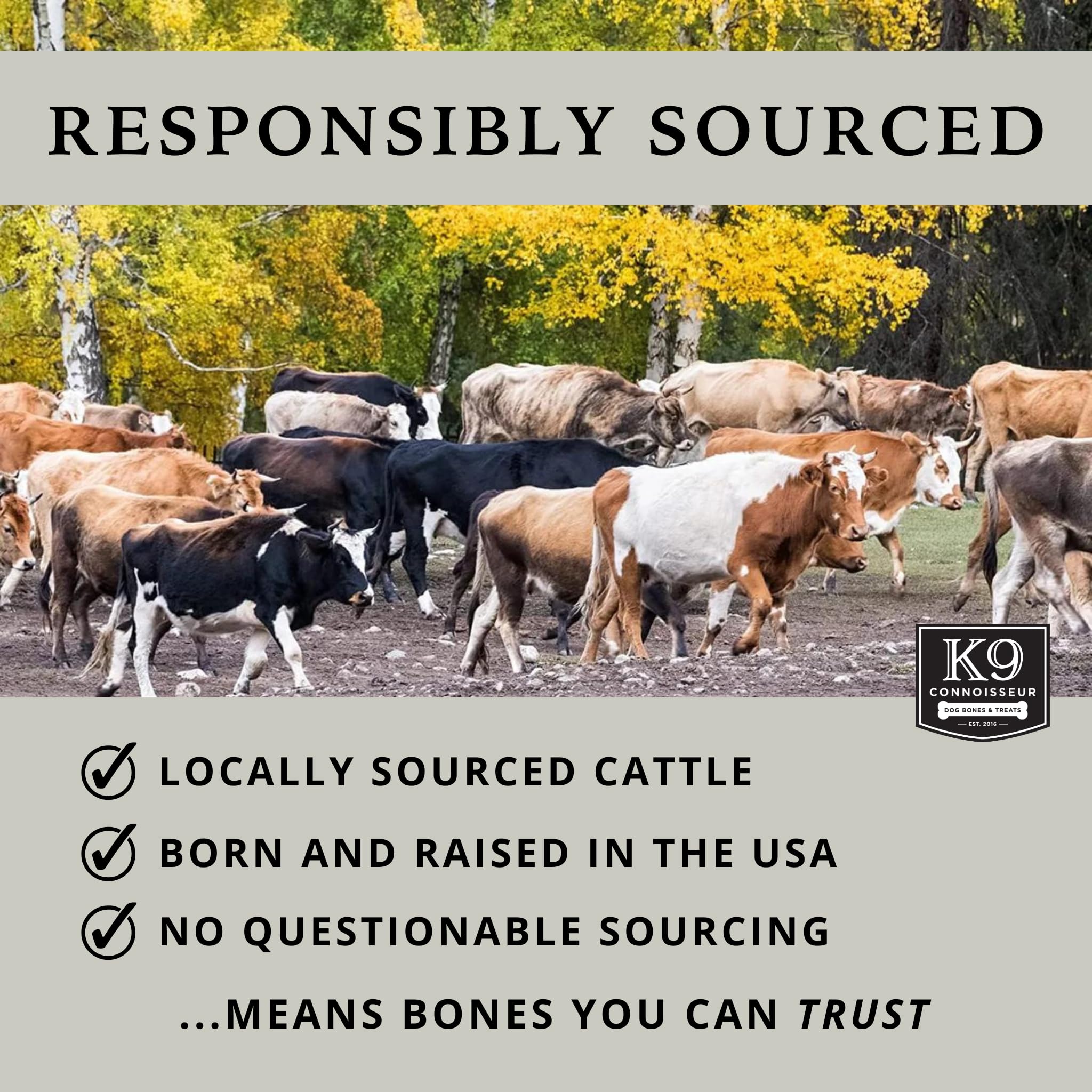 K9 Connoisseur Dog Bones Made in USA for Small and Medium Breed Dogs Natural Long Lasting Meaty Beef Knee Cap Bone Treats Best for Dogs Upto 50 Pounds 1 Pack 3 Count