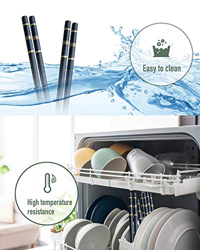 YUNDUOJIA Glass Fiber Chopsticks-Reusable Japanese-style, Chinese-style and Korean-style Chopsticks, Dishwasher-safe, (2 Pairs Gift Set)