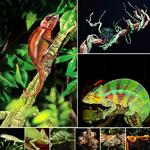 kathson 3 PCS Reptile Vines Plants Flexible Bendable Jungle Climbing Vine Terrarium Plastic Plant Leaves Pet Tank Habitat DecorĀ for Bearded Dragons Lizards Geckos Snakes Frogs and More Reptiles