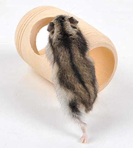 Wooden Hamster Chew House Tunnel Hut Hideout Molar Toy for Small Animal Dwarf Rat Mouse Gerbil Chinchilla Guinea Pig (House & Tunnel 2 Pack)
