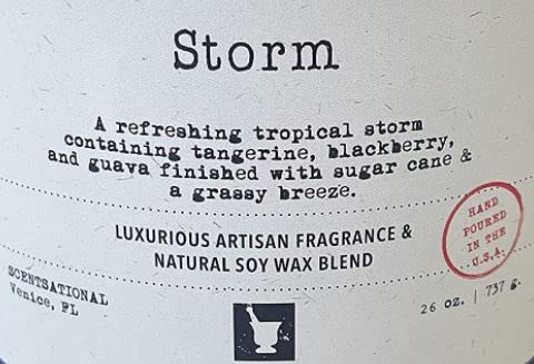 Scentsational Storm No. 6 Scented Jumbo Natural Soy Jar Candle | 26oz, 3-Wick