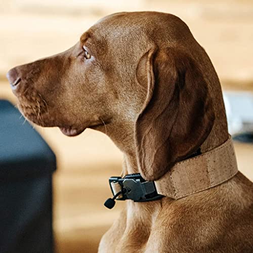 FollowPaw AirTag Dog Collar (L (44-51 cm), Natural)