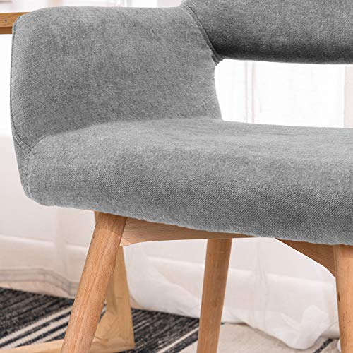 Aaron Living Dining Chairs Set of 2 Fabric Modern Dining Room Chairs Living Room Chairs with Solid Wood Leg (Gray, Set of 2)
