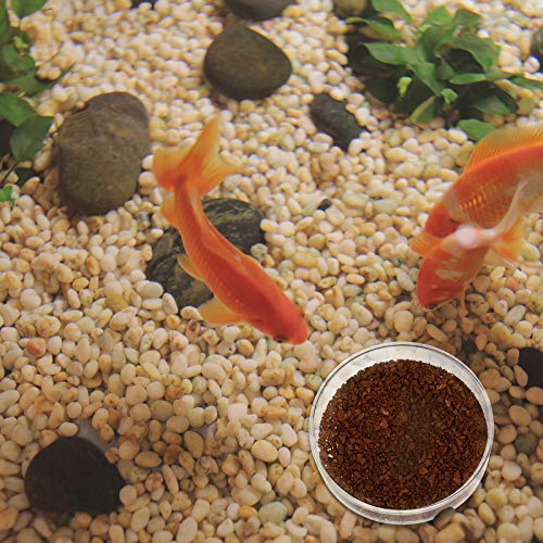 Patelai 3 Pieces Aquarium Shrimp Feeding Dish Glass Fish Clear Tank Feeding Bowl Food Bowl Freshwater Tray Feeder