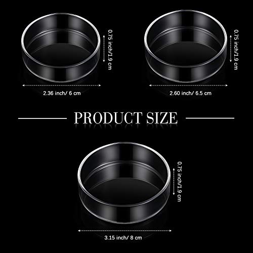 Patelai 3 Pieces Aquarium Shrimp Feeding Dish Glass Fish Clear Tank Feeding Bowl Food Bowl Freshwater Tray Feeder