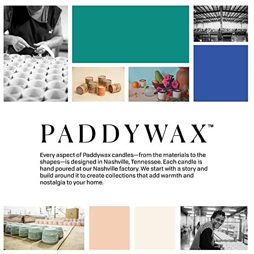 Paddywax Candles Realm Candle, 13.5 Ounces, Green, Bamboo