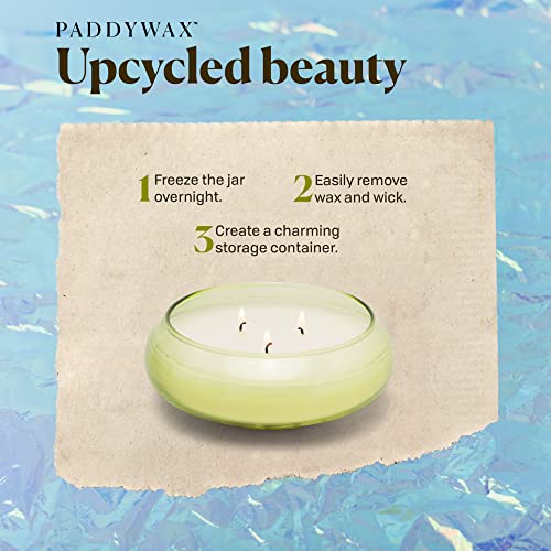 Paddywax Candles Realm Candle, 13.5 Ounces, Green, Bamboo