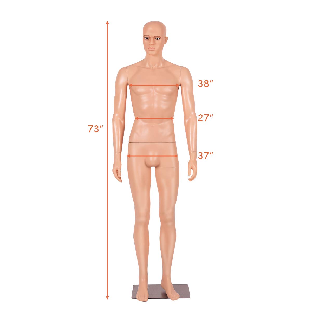 Giantex 6 Ft Male Mannequin, Adjustable Dress Mannequin Full Body w/Separated Fingers, Stable Iron Base, Realistic Mannequin for Cosplay