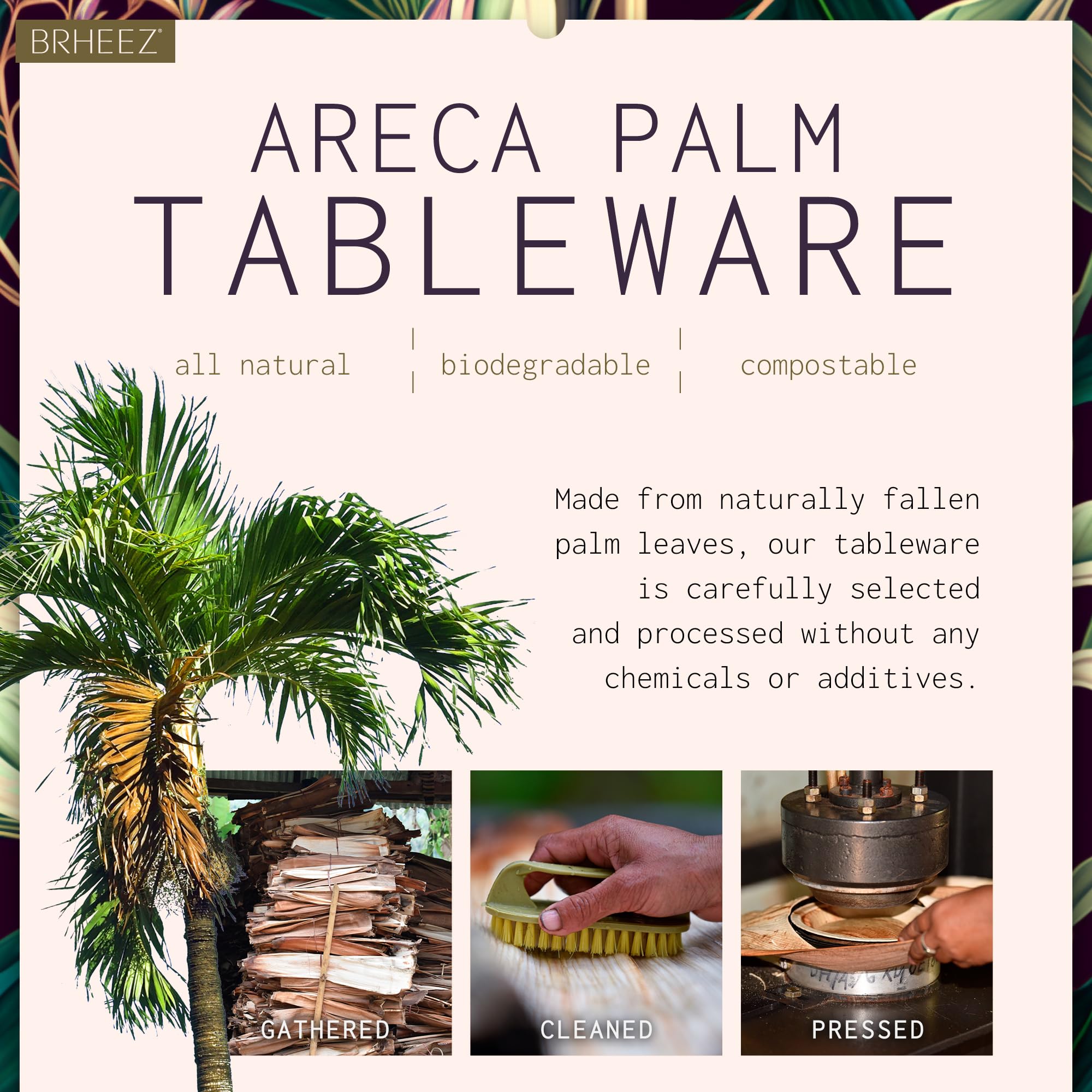 brheez Bamboo Plates made from Palm Leaf 25 Party Plates 10 Inch Eco Friendly Compostable & Biodegradable – Disposable Plates Heavy Duty and More Environmentally Friendly than Paper Plates