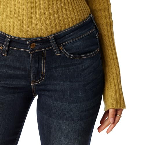 Levi Strauss Signature Gold Women's Size Modern Bootcut Jeans (Also Available in Plus), Stormy Sky-waterless, 20