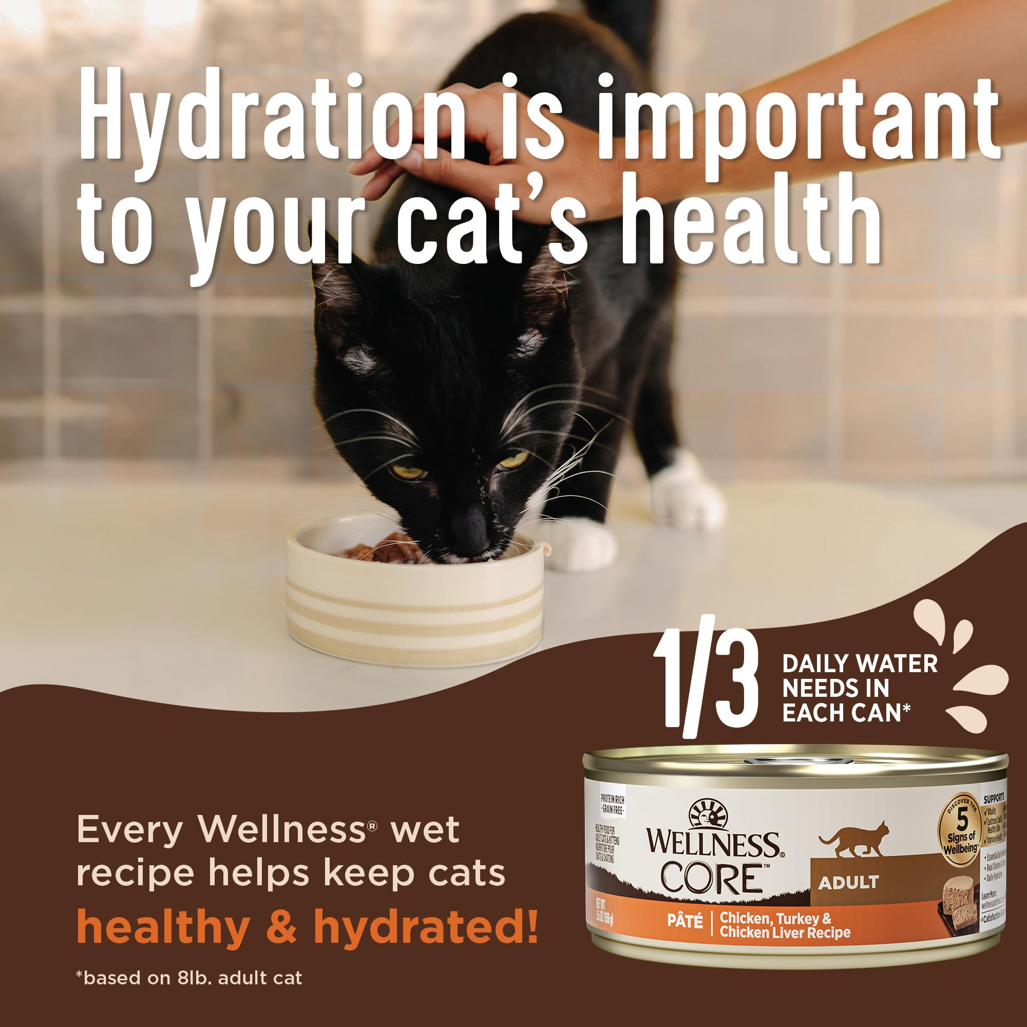 Wellness CORE Pate Adult Wet Cat Food, Natural, Protein-Rich, Grain Free, 3 Ounce, 12 Pack (Turkey & Duck)