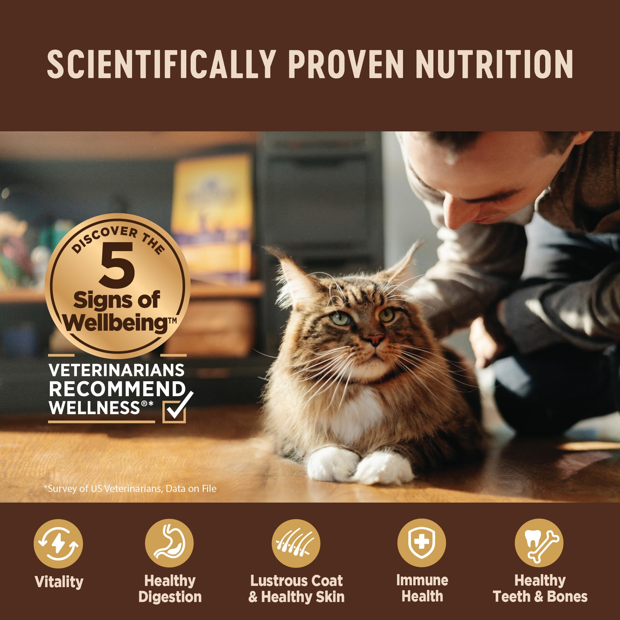 Wellness CORE Pate Adult Wet Cat Food, Natural, Protein-Rich, Grain Free, 3 Ounce, 12 Pack (Turkey & Duck)