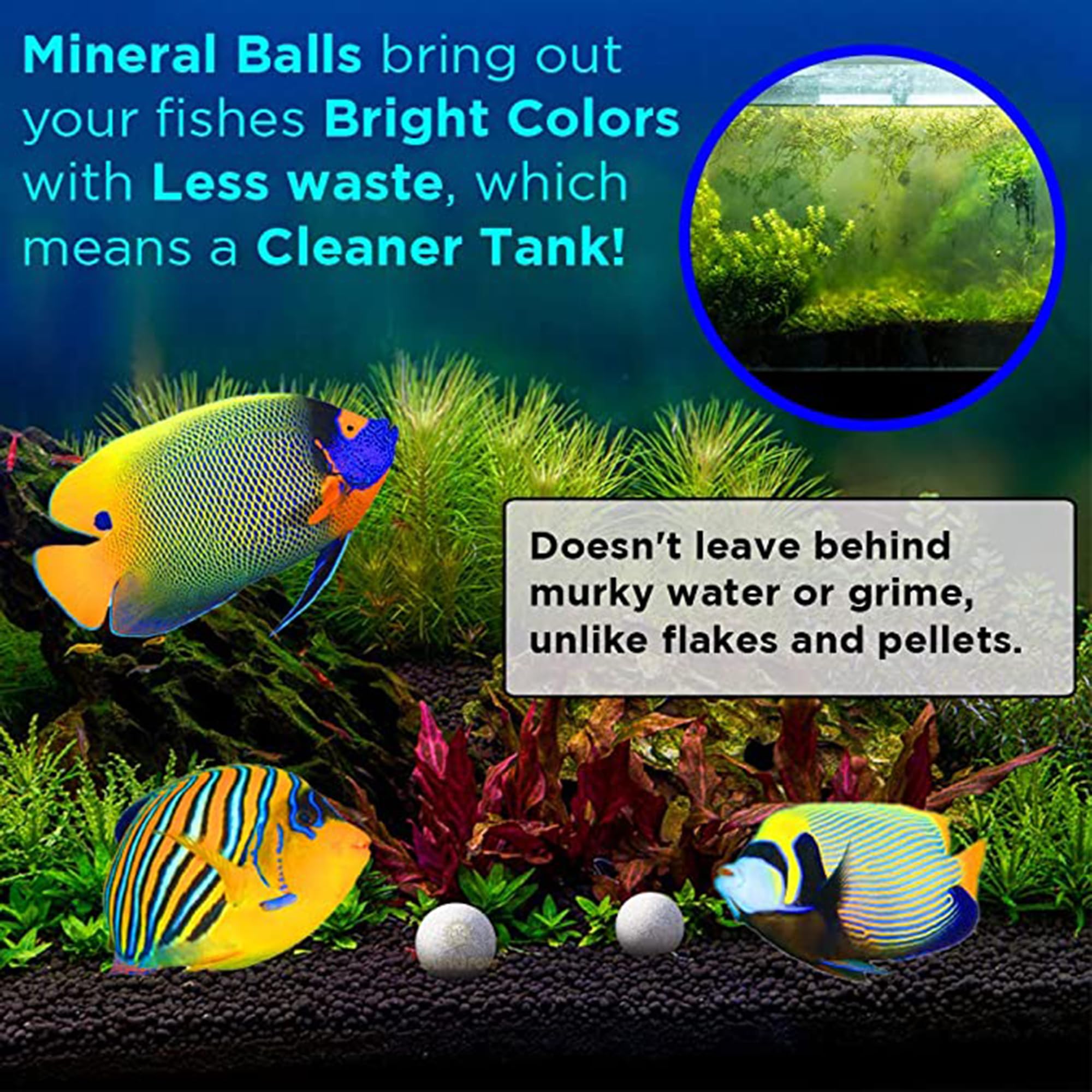 SunGrow Calcium-Rich Balls for Betta, Water Conditioner with Over 30 Beneficial Elements, Freshwater Fish Tank Decorations, 10 Pcs per Pack