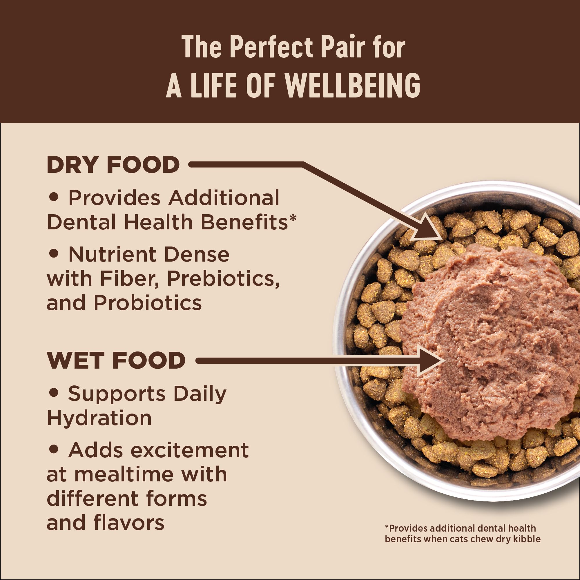 Wellness CORE Pate Adult Wet Cat Food, Natural, Protein-Rich, Grain Free, 3 Ounce, 12 Pack (Turkey & Duck)