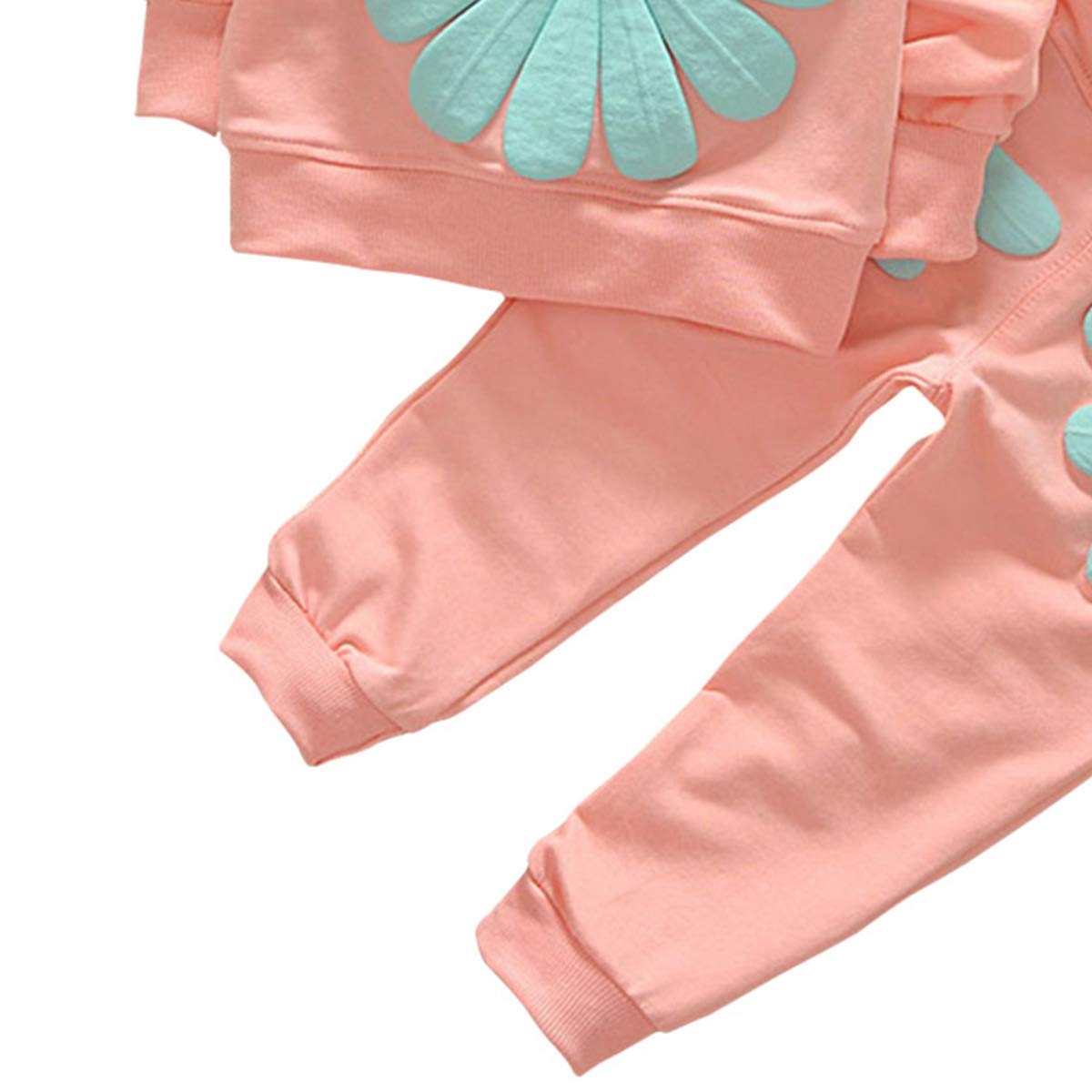 oddler Baby Girls Sunflower Clothes Set Long Sleeve Top and Pants 2pcs Outfits Fall Clothes (Age(3T), Pink)