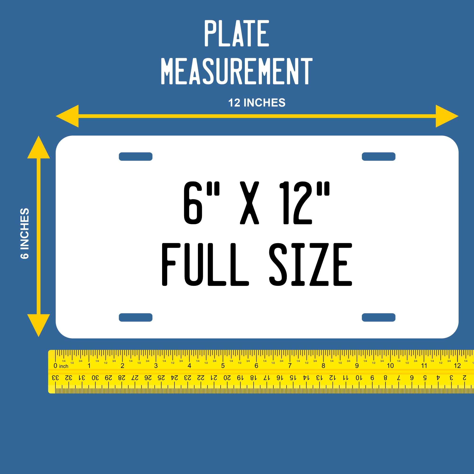 Personalized Florida License Plate 6" X 12" (inches) Aluminum. Add Your Name, Text or Numbers.Full Size Novelty Plate - Fits Car and Truck License Plate Holders VER.2