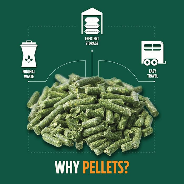 Standlee Hay 1275-30111-0-0 40 lbs. Timothy Pellets Forage