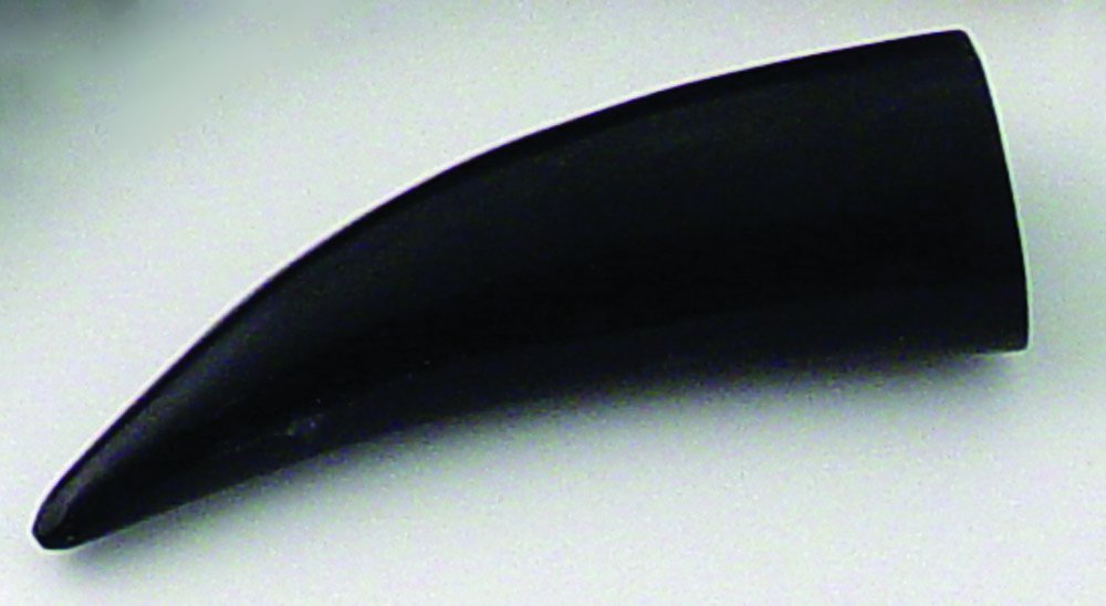 6-8" Polished Water Buffalo Horn