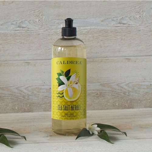 Caldrea Dish Soap, Biodegradable Dishwashing Liquid made with Soap Bark and Aloe Vera, Sea Salt Neroli, 16 oz