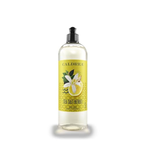Caldrea Dish Soap, Biodegradable Dishwashing Liquid made with Soap Bark and Aloe Vera, Sea Salt Neroli, 16 oz