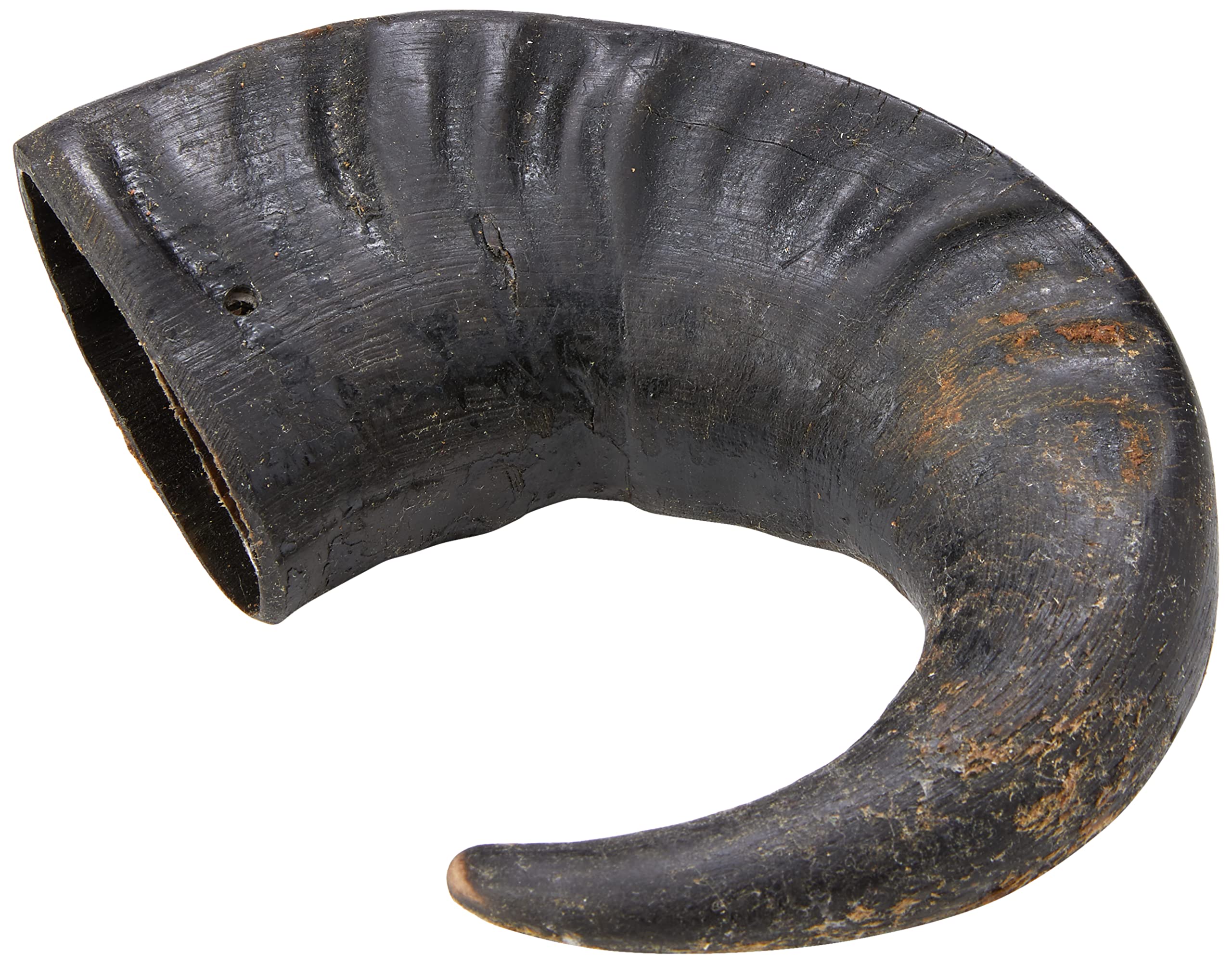 Hollings Buffalo Horn Dog chew Treat, Jumbo