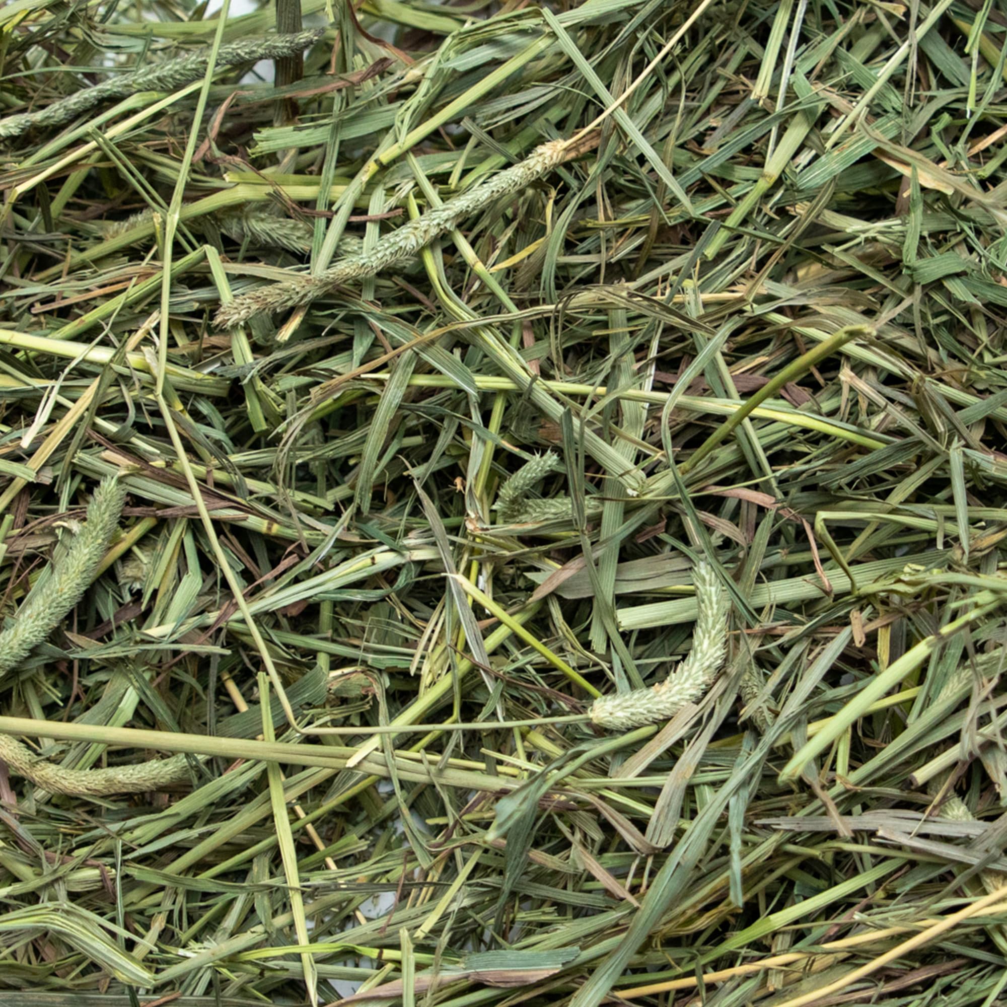 Rabbit Hole Hay - Ultra Premium Medium Timothy Hay for Small Pets - 5 lb Box - Hand-Selected & Fresh