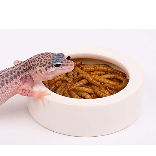 Reptile Food Water Bowl, 2 pcs Ceramics Worm Dish ,Anti-Escape Reptile Water Feeder ,Mealworm Bowl for Lizard Gecko Bearded Dragon, (S,M,L) (Large)