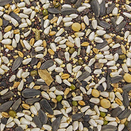Higgins 3 Pack of Sunburst Soak n' Sprout Seeds with Quinoa for Small Birds, 3 Ounces Each