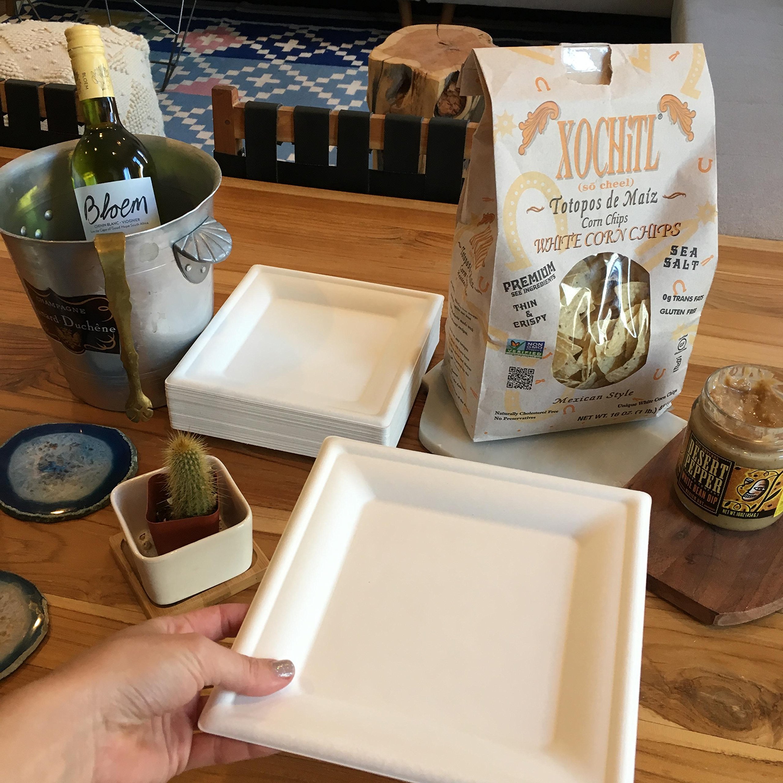 Susty Party 8-Inch Compostable Square Plates (50 Plates), Sugarcane Heavy Duty Disposable Biodegradable Plate, White