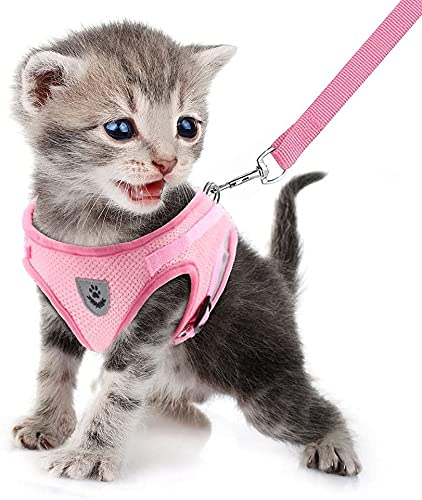 FEimaX No Pull Dog Harness and Leash Set, Soft Mesh Adjustable Lightweight Puppy Harnesses with Reflective Strap, Escape Proof Small Dog Cat Vest for Outdoor Walking