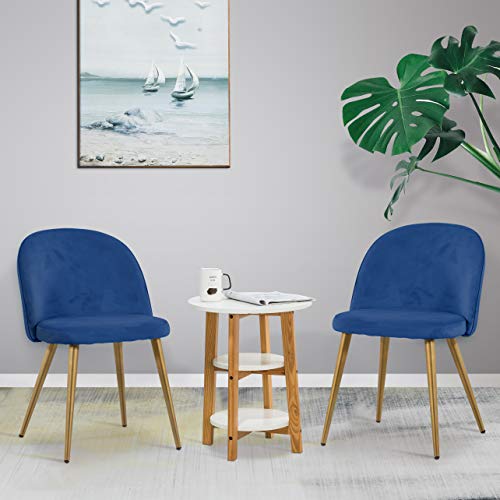 ivinta Royal Blue Dining Chairs Set of 2, Upholstered Velvet Accent Chairs for Living Room Dining Room Kitchen, Modern Side Chairs with Gold Legs…