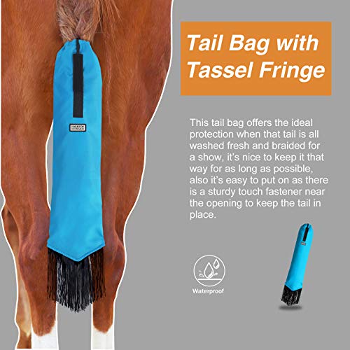 Harrison Howard Horse Tail Bag with Fringe-Azure Blue