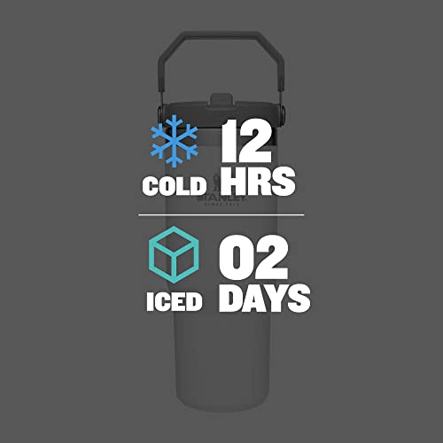 Stanley IceFlow Stainless Steel Tumbler with Straw - Vacuum Insulated Water Bottle for Home, Office or Car - Reusable Cup with Straw Leakproof Flip - Cold for 12 Hours or Iced for 2 Days (Polar)