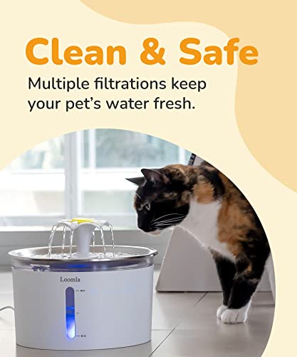 Loomla Cat Water Fountain, 85oz/2.5L Pet Water Fountain Indoor, Automatic Dog Water Dispenser with Switchable LED Lights, 2 Replacement Filters for Cats, Dogs, Pets(Stainless Steel)