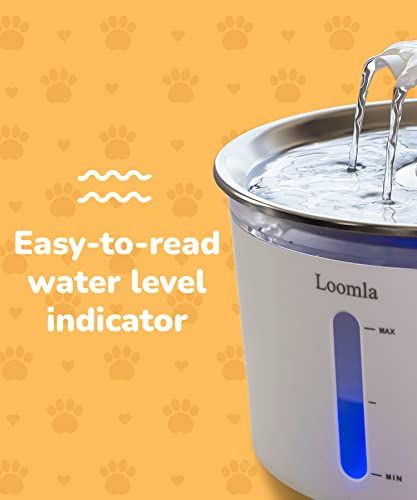 Loomla Cat Water Fountain, 85oz/2.5L Pet Water Fountain Indoor, Automatic Dog Water Dispenser with Switchable LED Lights, 2 Replacement Filters for Cats, Dogs, Pets(Stainless Steel)