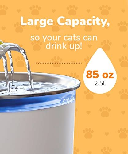 Loomla Cat Water Fountain, 85oz/2.5L Pet Water Fountain Indoor, Automatic Dog Water Dispenser with Switchable LED Lights, 2 Replacement Filters for Cats, Dogs, Pets(Stainless Steel)