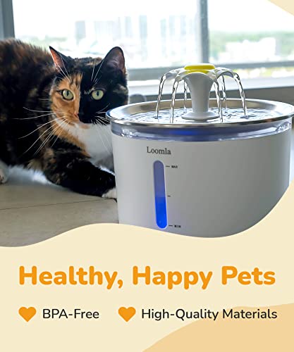 Loomla Cat Water Fountain, 85oz/2.5L Pet Water Fountain Indoor, Automatic Dog Water Dispenser with Switchable LED Lights, 2 Replacement Filters for Cats, Dogs, Pets(Stainless Steel)