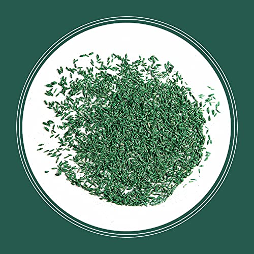 Pennington Smart Seed Sun and Shade Tall Fescue Grass Seed Mix for Southern Lawns 7 lb