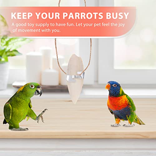 Hemobllo Cuttlebone for Birds- 6 Set Cuttlefish Bones with Metal Holder Parrot Cuddle Bone Chew Toy Pet Molar Toy Cuttlebone for Cockatiels Parakeets (10-12cm)