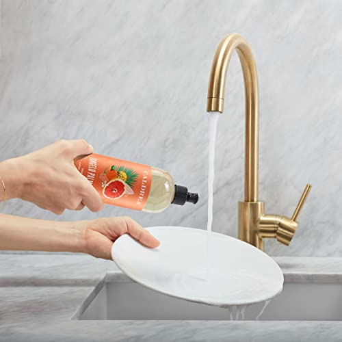 Caldrea Dish Soap, Biodegradable Dishwashing Liquid made With Soap Bark And Aloe Vera, Tangelo Palm Frond Scent, 16 Oz