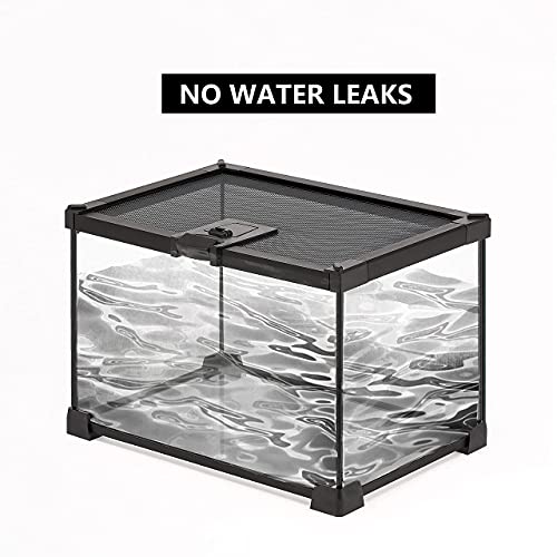 PetWoW 3 Gallon Mini Reptile Glass Tank - 12" x 8" x 8" Full View Natural Terrarium for Reptile, Amphibian, Turtle, Lizard, Snake and Frog