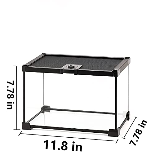 PetWoW 3 Gallon Mini Reptile Glass Tank - 12" x 8" x 8" Full View Natural Terrarium for Reptile, Amphibian, Turtle, Lizard, Snake and Frog