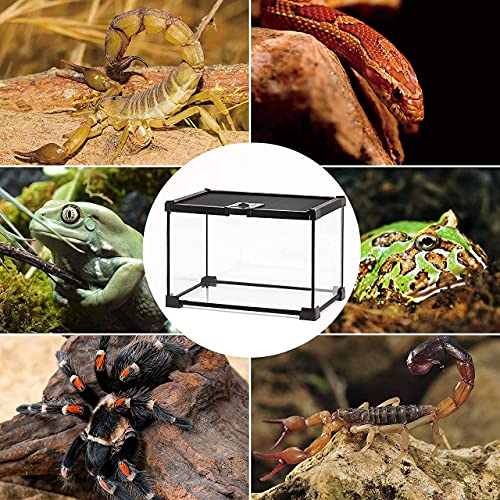 PetWoW 3 Gallon Mini Reptile Glass Tank - 12" x 8" x 8" Full View Natural Terrarium for Reptile, Amphibian, Turtle, Lizard, Snake and Frog