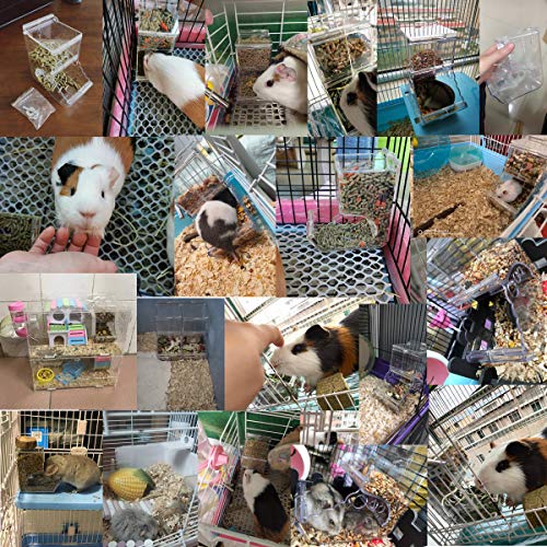 Hamsters Feeder Small Animals Automatic Dispenser Gravity Auto Dispensers Pet Pellets Food Storage Bowl - Dwarf Hamster Gerbils Mice Hedgehog Guinea Pig and Other Small Animal Ideal Feeding Station