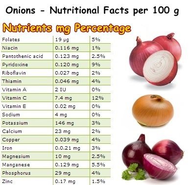 Buy Wellness Organic White ONION Powder, Purity Packaged for Freshness, Indian, 100% pure White Onion, -16 oz